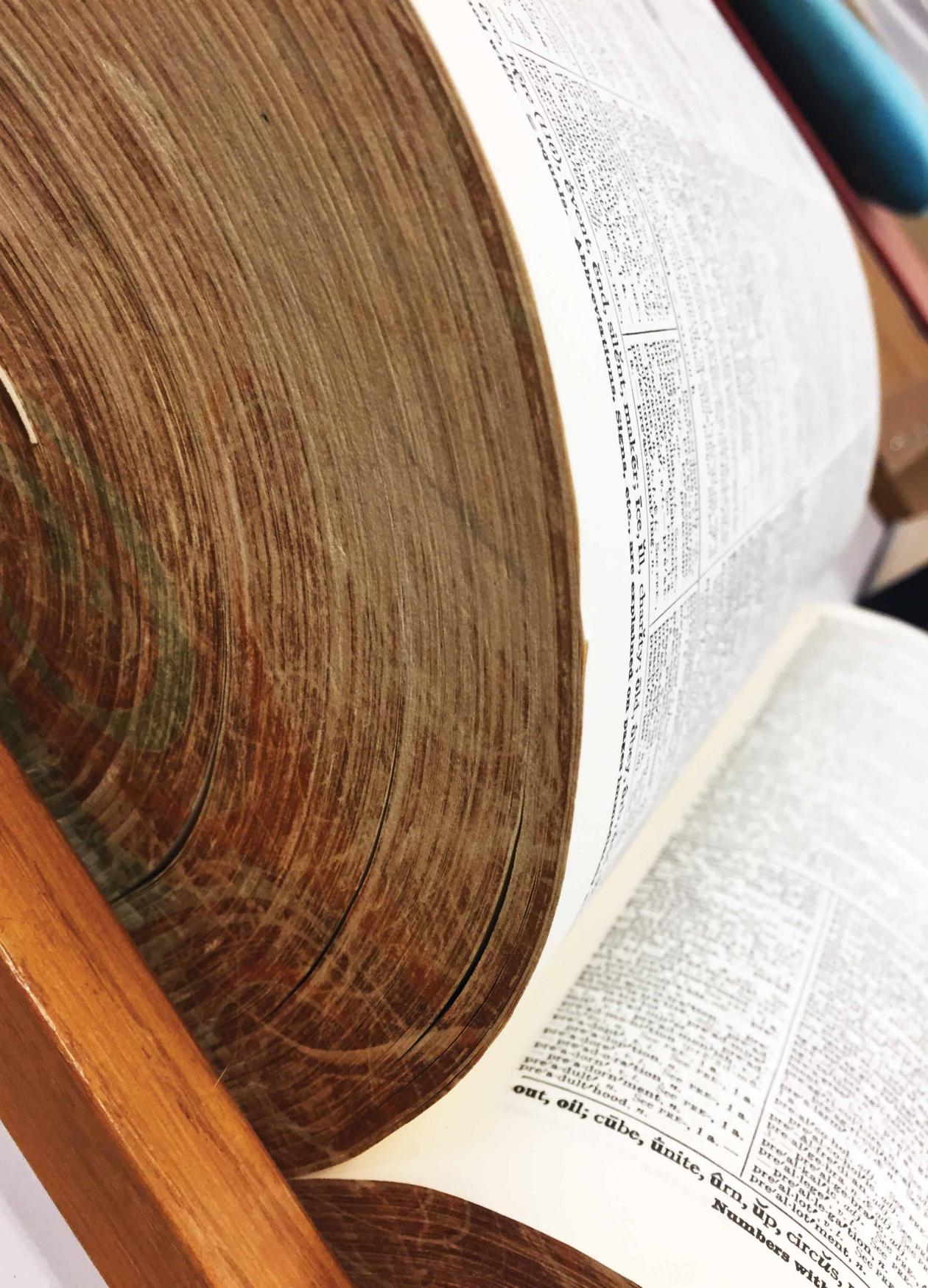 If Printed Dictionaries Are History, What Will Children Sit on to Reach ...