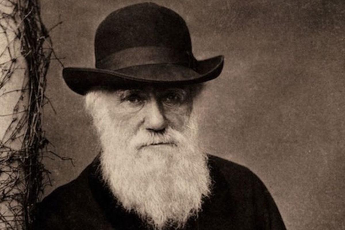 Darwin Correspondence Project | National Endowment for the Humanities (NEH)