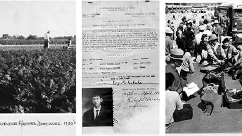 New Guidelines for Humanities Collections and Reference Resources ...